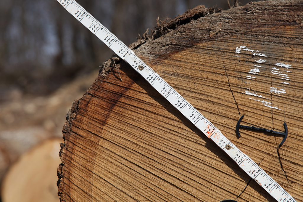 Sell Your Timber – OR Veneer