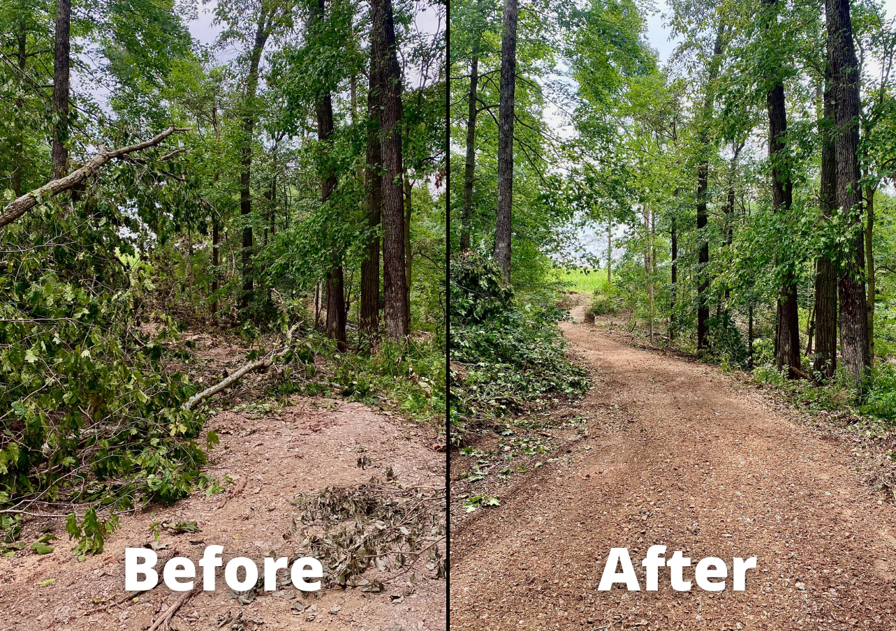 Clean Up After a Timber Harvest – OR Veneer
